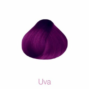 Tinte Xiomara 300 Fashion Uva – Guapissima